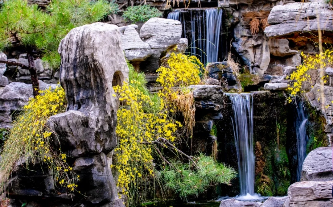 Spring flowers add vitality to Jinan - Jinan, a City of Springs