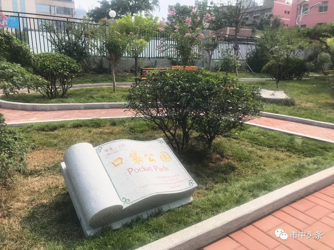 Jinan, a City of Springs Jinan Today Shizhong district makes itself ...